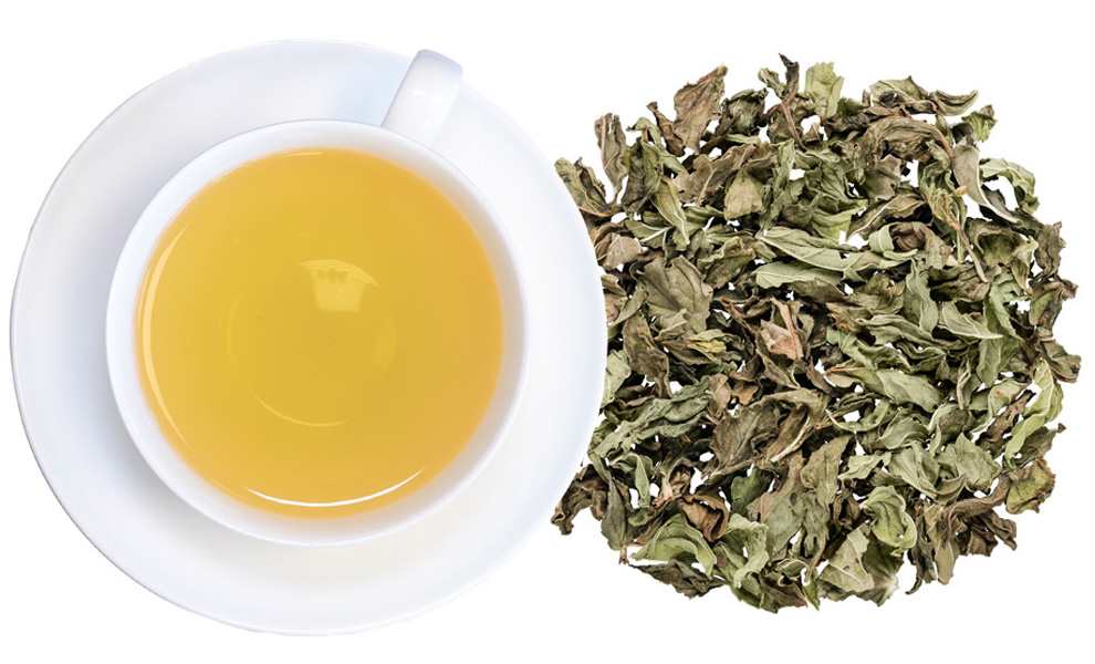 Nana Minze Tee BIO kaufen