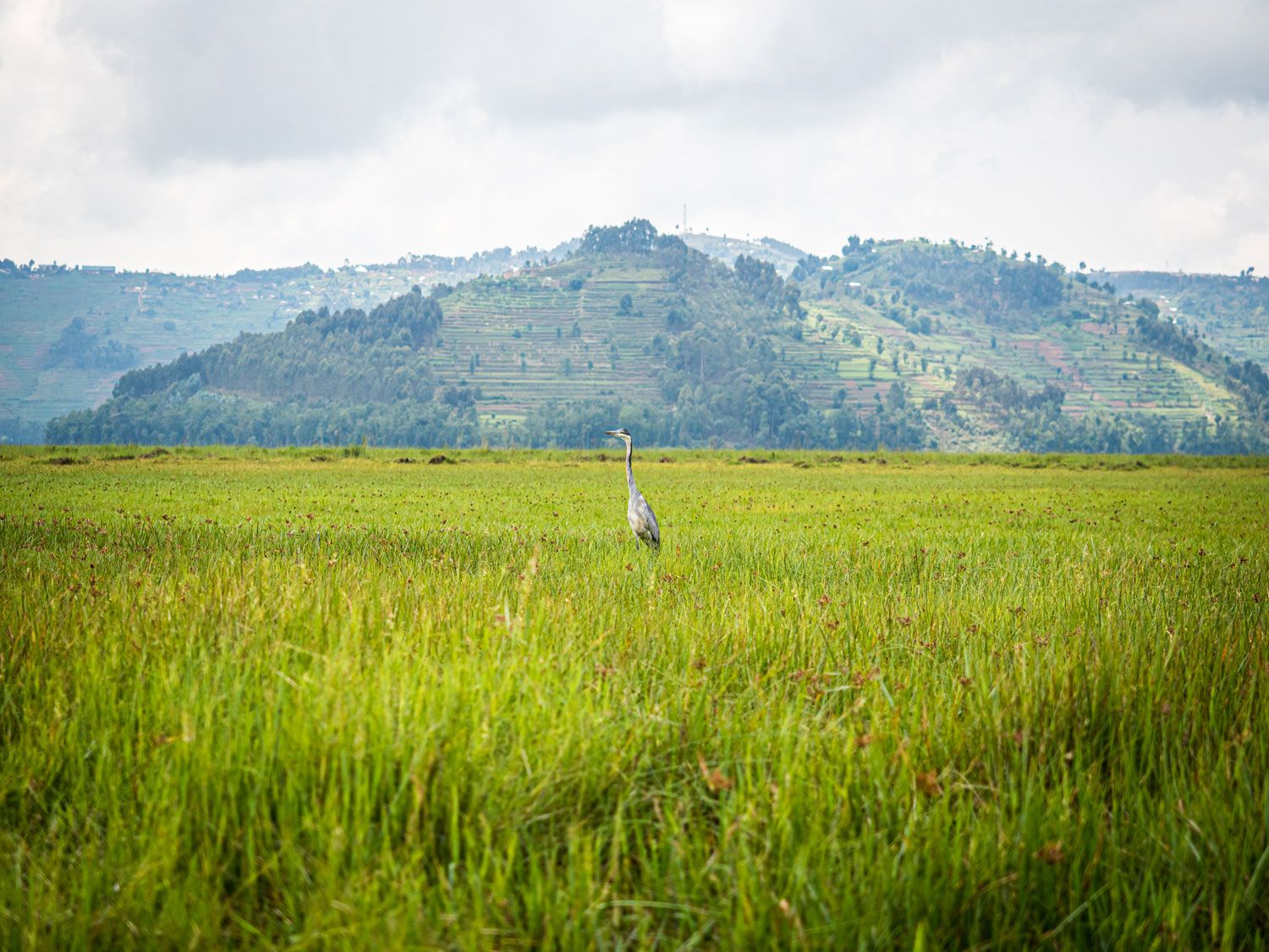 Projektseite Ruanda